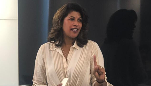 CMCA Leadership and Management Teams, Programme Teams